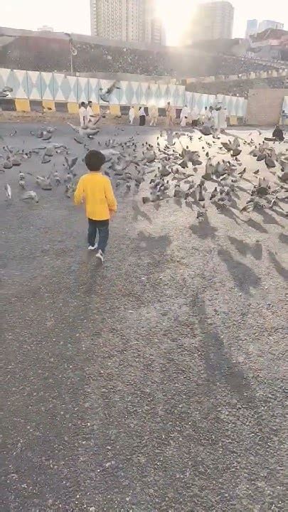 Ya Rabbe Mustafa Tu Muje Hajj Py Bula Shorts Viral Makkah Youtube