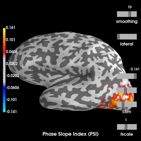 Compute Phase Slope Index Psi In Source Space For A Visual Stimulus