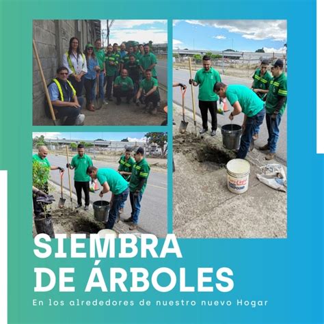 Siembra De Árboles Aceros Abonos Agro En Aceros Abonos Agro Somos
