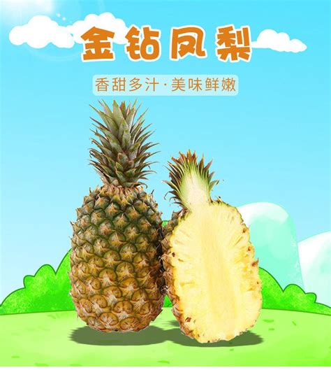 台农17号凤梨 凤梨 菠萝凤梨 大山谷图库