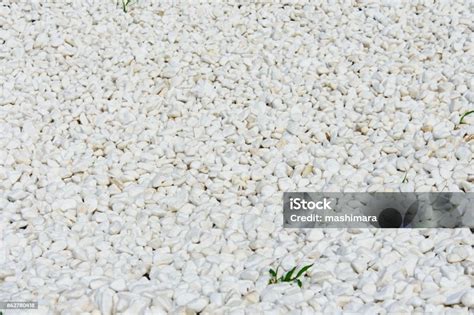 Photo Libre De Droit De Gravier Blanc Caillou Texture Pierres Dun