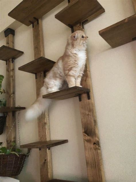 Labrico（ラブリコ） や ディアウォールを使って、キャットタワーをdiy！ キャットタワー 手作り キャットタワー 猫の家具