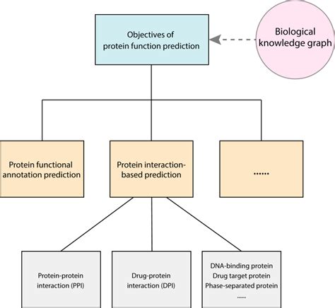 In Silico Protein Function Prediction The Rise Of Machine Learning Based Approaches Pmc