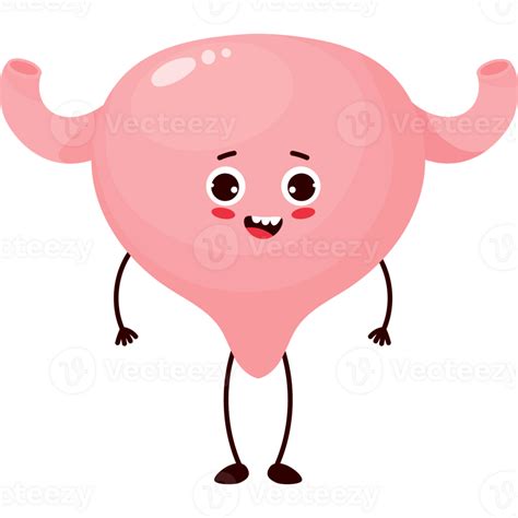 Cute Character Organ Bladder 23367089 Png