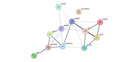 Pathcards Lysine Catabolism Pathway And Related Pathways