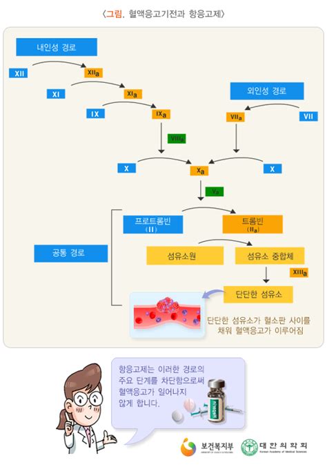 지혈과정 네이버 블로그