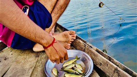 Traditional Net Fishing Amazing Fishing Catching Skill The Best
