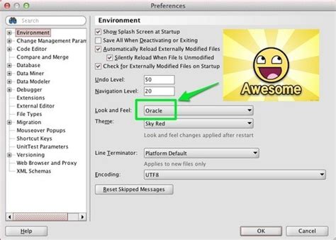 Oracle Sql Developer Dark Look And Feel Sapjealien
