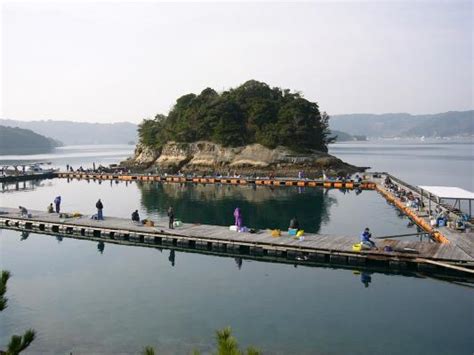 旅Karatsu 唐津観光協会仮屋湾遊漁センター