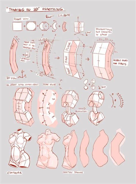 Character Anatomy Artofit