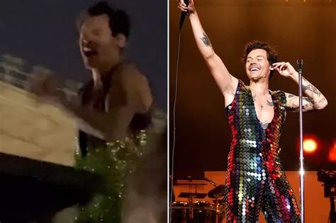 Harry Styles Steamiest Penis Confessions From ‘best Schlong To