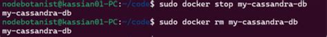 Running Apache Cassandra® Single And Multi Node Clusters With Docker