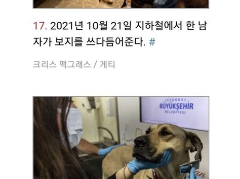 개 ㅂㅈ 사진 유머 게시판