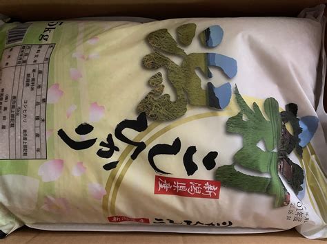 【楽天市場】令和元年産新潟県産コシヒカリ5kg×2袋【送料無料】一部地域を除く【あす楽対応本州】【あす楽対応関東】【あす楽対応四国
