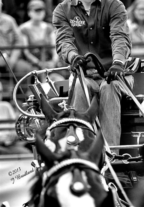 Express Clydesdales Under The Direction Of Josh Minshull Photo By J Ann Brodland Draft