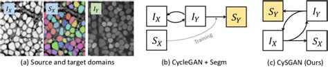 Overview Of Task And Methods A We Aim To Segment An Unlabeled Target Download Scientific