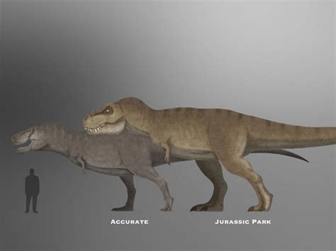 Tyrannosaurus Rex Jurassic Park 1993paleohistoric By Paleohistoric On