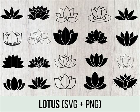 Lotus Svg Lotus Clipart Lotus Flower Flower Svg Lotus Silhouette