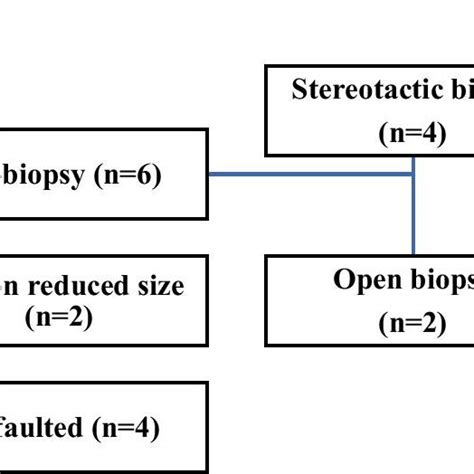 The Diagnostic Yield Of Stereotactic Biopsy Between Case With Download Scientific Diagram