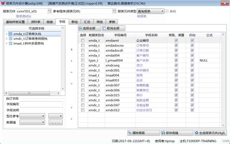 T100——查询 R类 报表开发流程 Csdn博客