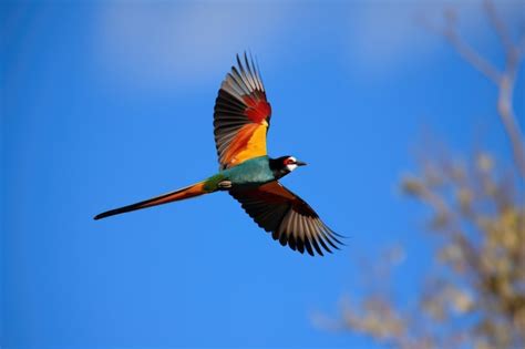 Premium Ai Image Colorful Bird Soaring Through The Clear Blue Sky