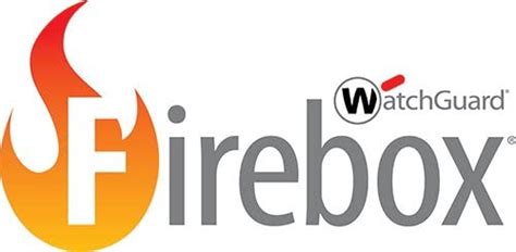 Firebox Ssl 100 Tunnel Electronics