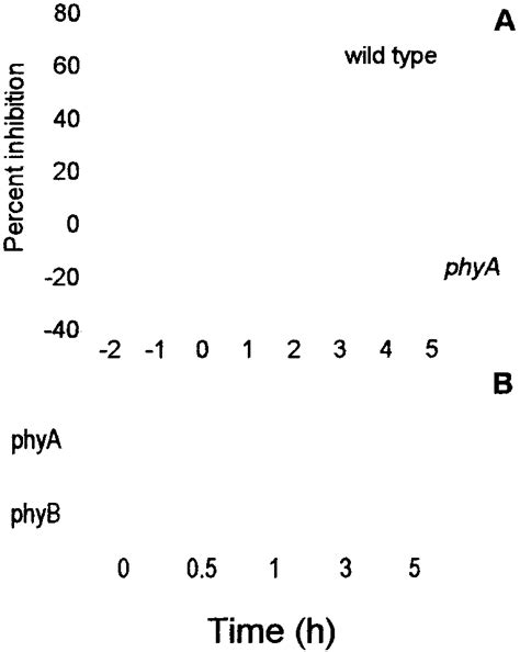 The Effect Of Frc On The Growth Responses And Phytochrome Levels Of