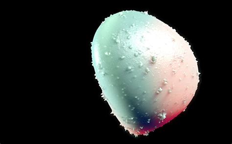 Displacement And Texture Study On Behance
