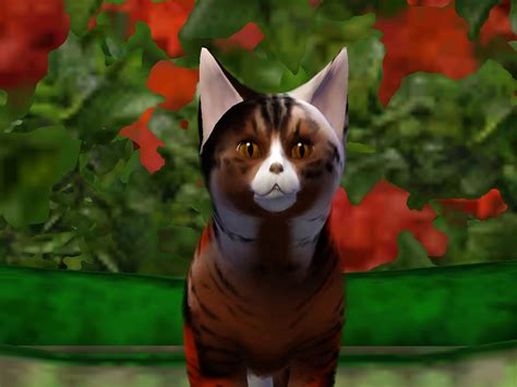 Tawnykit Warrior Cats Valley Territories Wiki Fandom
