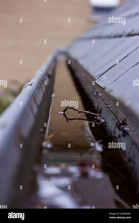 A Portrait Of A Clogged Roof Gutter Full Of Rain Water During A Rainy
