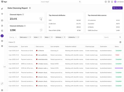 Cleanse Your Data Secure Your Ai Bigids Data Cleansing For Ai At