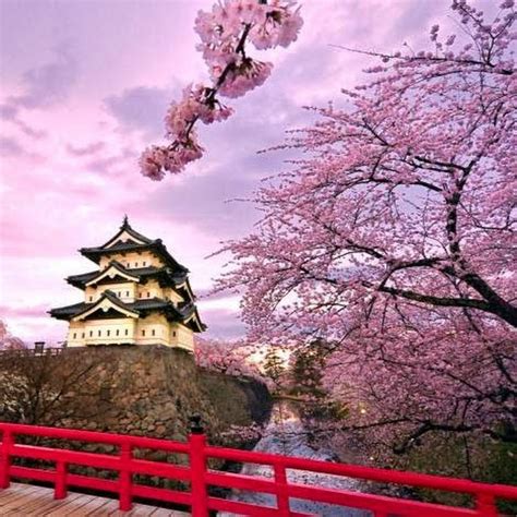 Uthara Krishnan Youtube