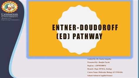 220705180076 Entner Doudoroff Pathway Pptx