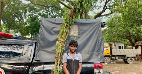 আন্তর্জাতিক