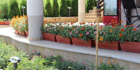 Бялата Къща в Минерални бани Хасково на цени от 140 лв отзиви снимки