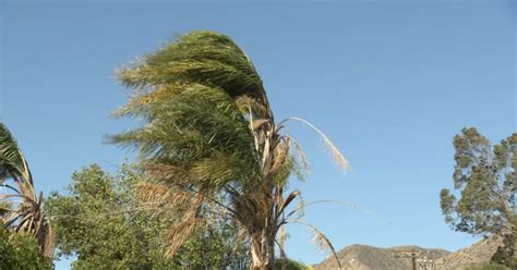 Powerful Santa Ana Winds Lash Southern California Ntd