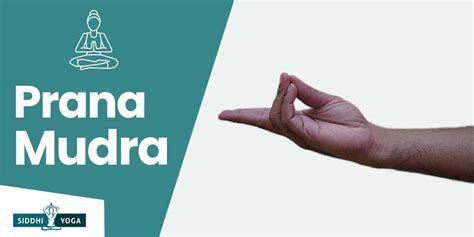 Yoga Mudra Benefits And Precautions Infoupdate Org