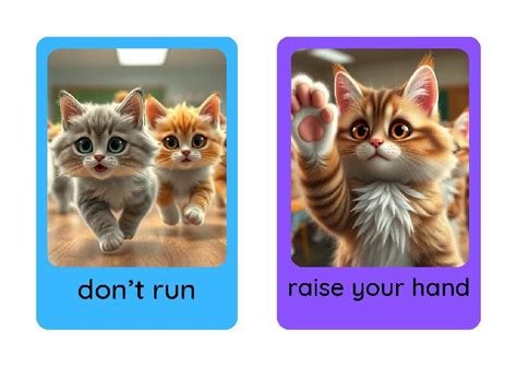 Class Rules Flash Cards By Esl Resources For Everyone Tpt