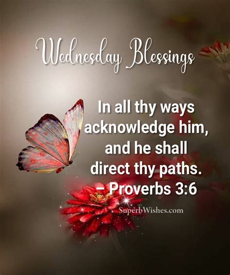 Blessed Quotes From The Bible