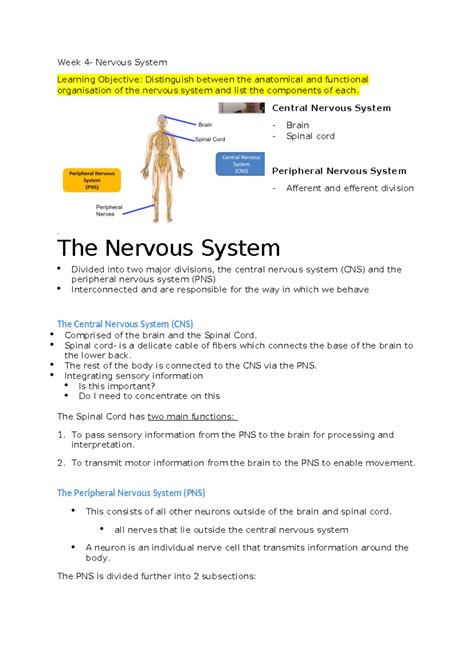 Week 4 The Nervous System Week 4 Nervous System Learning Objective Distinguish Between The