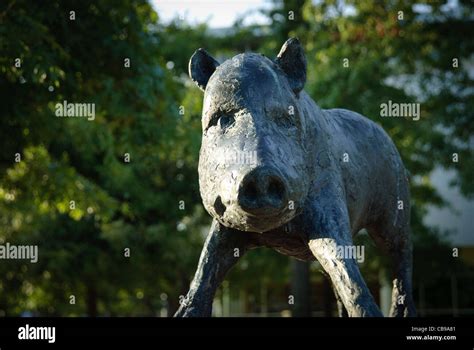 Razorback Pride Bronze Statue By Artist Hank Kaminsky On The Campus Of