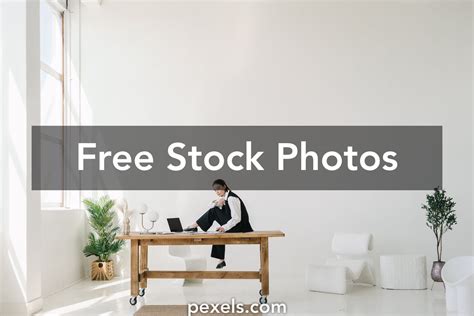 Aesthetic Plants Plot Photos Download The Best Free Aesthetic Plants