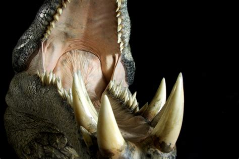 Phytosaur — 10 Tons