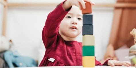 Training In Schema Therapy 14 Courses And Online Options