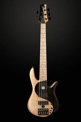 240 Cool Basses Ideas Bass Bass Guitar Guitar