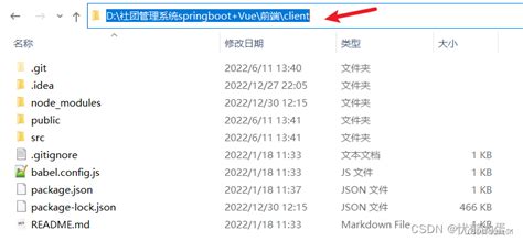 如何运行vue项目 超详细图解） vue项目怎么运行 csdn博客