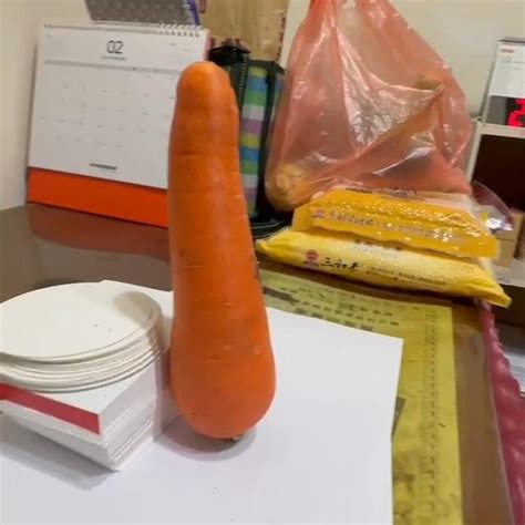 Carrot Object Detection Dataset By Dimas Ralkausar