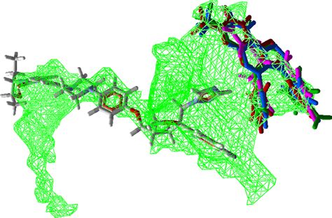 Docked Ligands And Active Co Crystal Ligand Within The Cavity