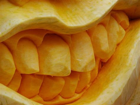Pumpkin Teeth Awesome Pumpkin Carvings