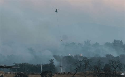 Controlan Incendio En Bosque De La Primavera En Tala Jalisco